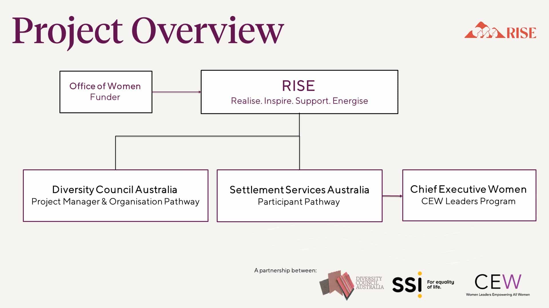 RISE Project - Diversity Council Australia