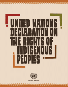 Respecting First Nations knowledge in business - Diversity Council ...