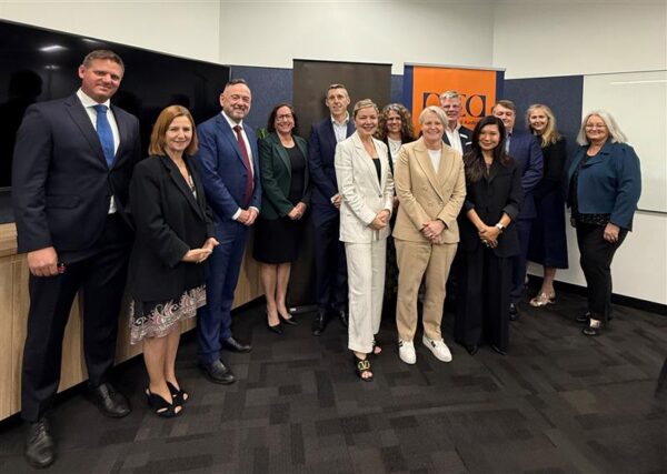 DCA’s 2025 year in review and what’s ahead for 2026 - Diversity Council ...